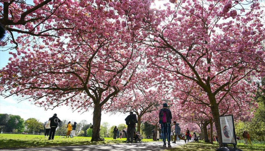 Spring has officially arrived: Vernal equinox marks start of ...
