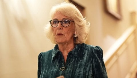 Queen Camilla shares important news ahead major reunion