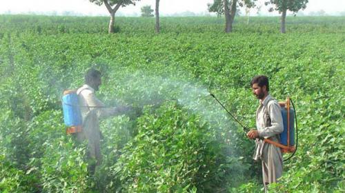 PARC to set up six labs to monitor pesticide residues