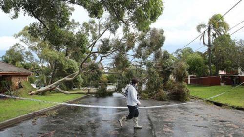 Sydney lashed by severe storm