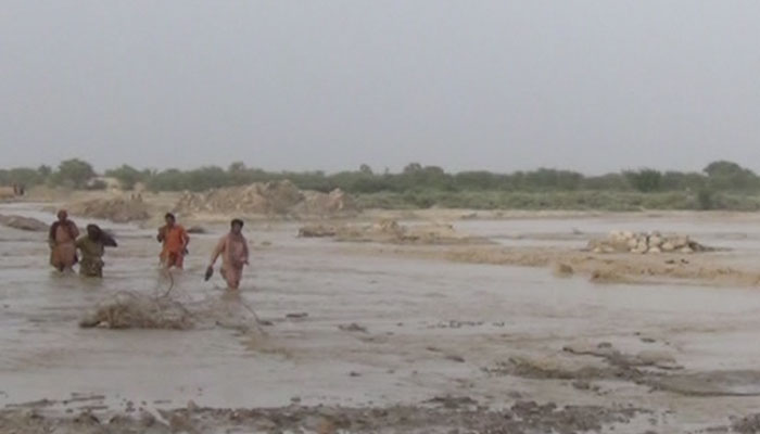 Seven vehicles swept away in Chitral flooding