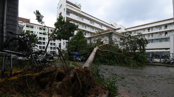 Typhoon slams into China, cuts power before weakening