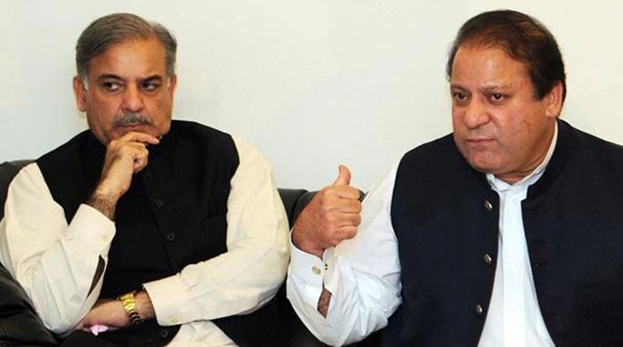 Sharif family says does not own any business in India