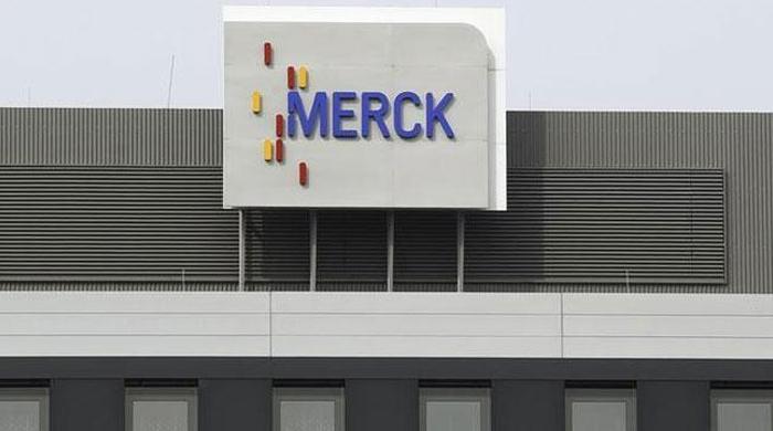 ‘New day’ in lung cancer as Merck drug shines, works with chemo
