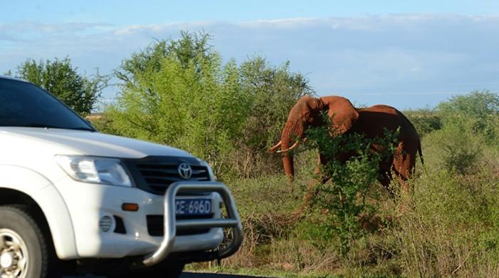 Kenya uses new technology to nab poachers at night: WWF