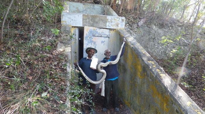 Indian snake catchers hired to hunt pythons in Florida
