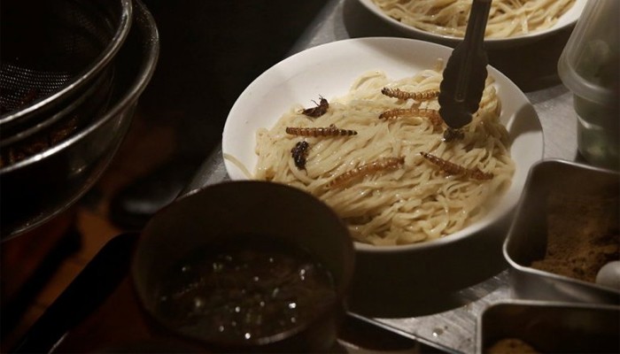 A dash of bugs with that? Insect-topped noodles sell out in Tokyo ...