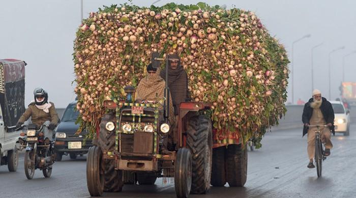 Average Pakistani income rose nearly 10 percent in two fiscal cycles