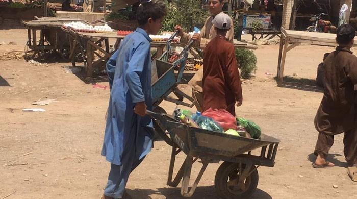 Driven by poverty: The children of Peshawar's Sunday Bazaar