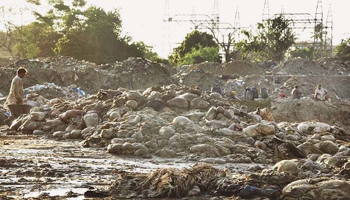 Waste of 0.7m animals disposed of in Karachi on first day of Eid