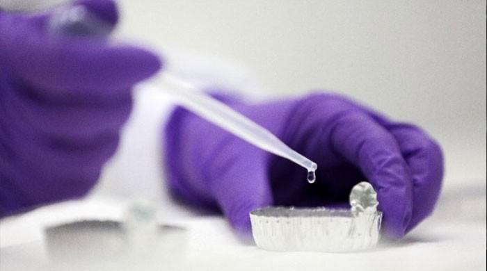 Genome editing reveals key gene for human embryo growth