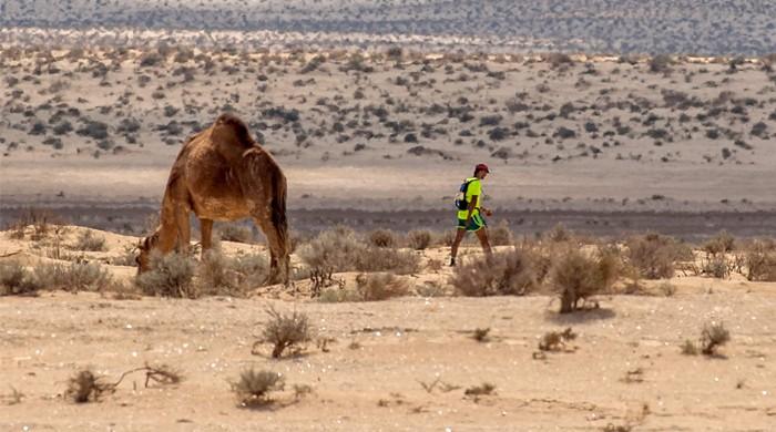 Runners hit the desert for Tunisia's first ultra-marathon