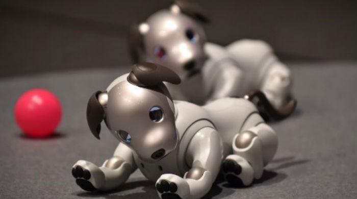 Sony revives robot pet dog
