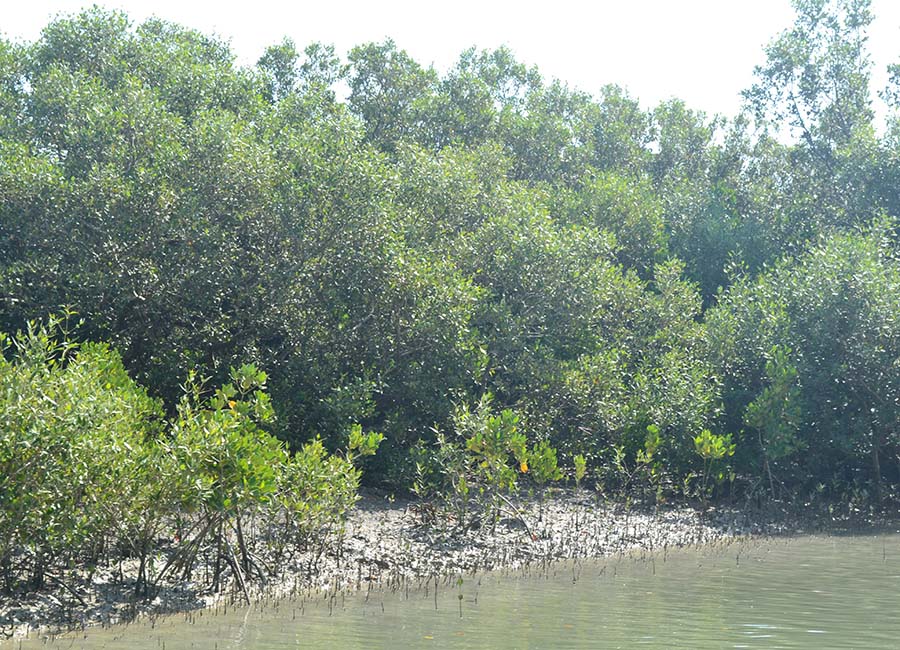 Balochistan’s best kept secret? A lagoon | Pakistan - Geo.tv