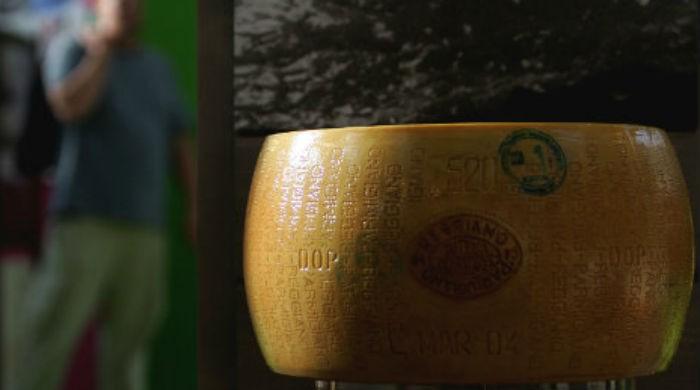 Italy's top cheeses 'products of cruelty': campaign