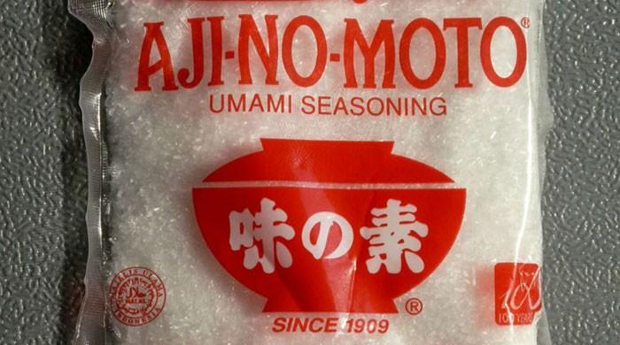 Supreme Court bans sale of Ajinomoto salt in Pakistan