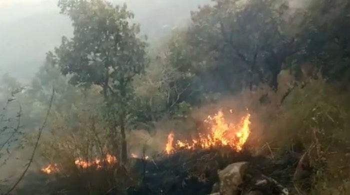 India forest fires kill 9 hikers, injure 18 others