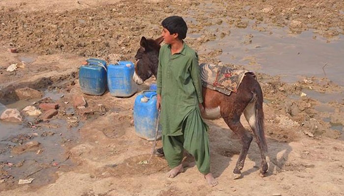 In search of clean drinking water | Pakistan - Geo.tv