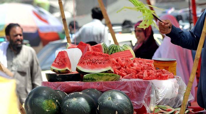 Watermelon sales increase due to scorching heat, affordable rates