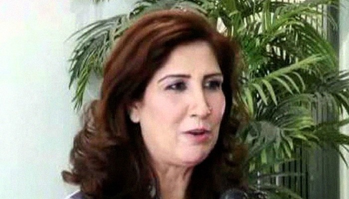 PPP's Shehla Raza says was not aware PTI workers were armed