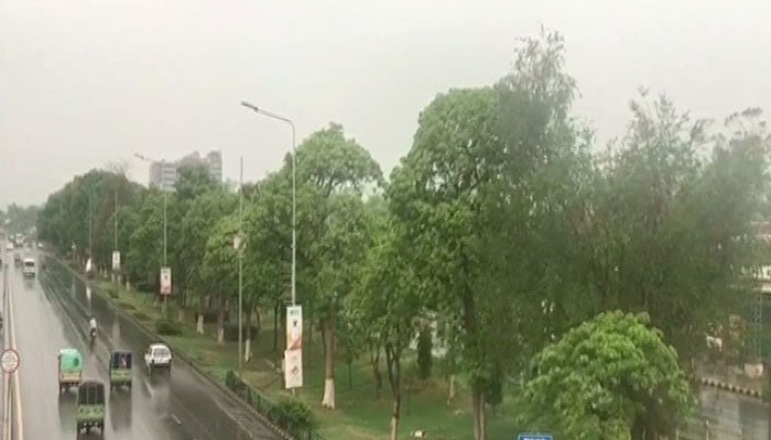 Light rain turns weather pleasant in Punjab