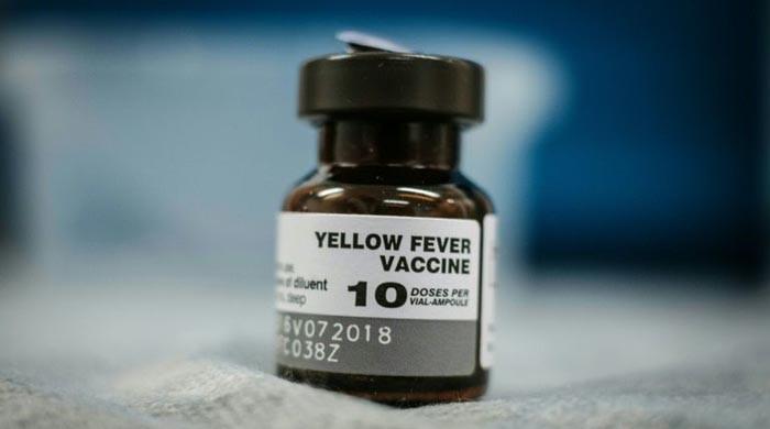 Scientists track how yellow fever raced through Brazil