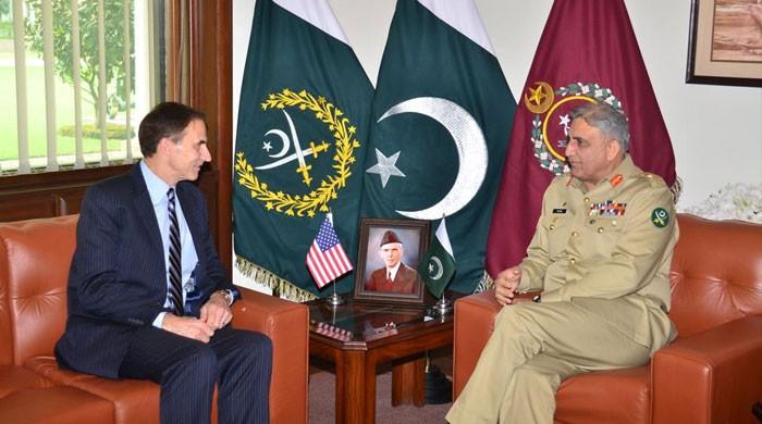 US diplomat acknowledges Pakistan's role in preventing regional conflicts