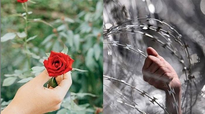 Turkish artist depicts social injustice through art