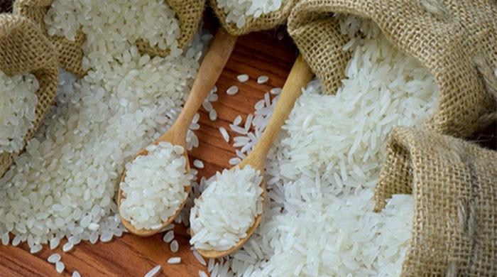Qatar agrees to include Pakistani rice in its tender documents