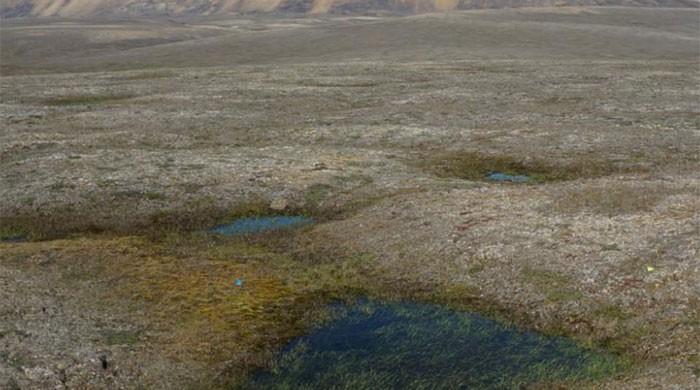 Scientists amazed as Canadian permafrost thaws 70 years early