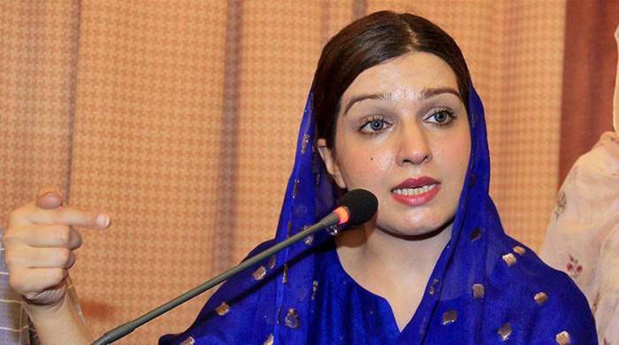 Mishal Malik terms India's move to abolish Article 370 as open terrorism