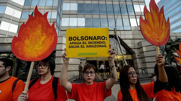 Why is part of the Amazon burning?