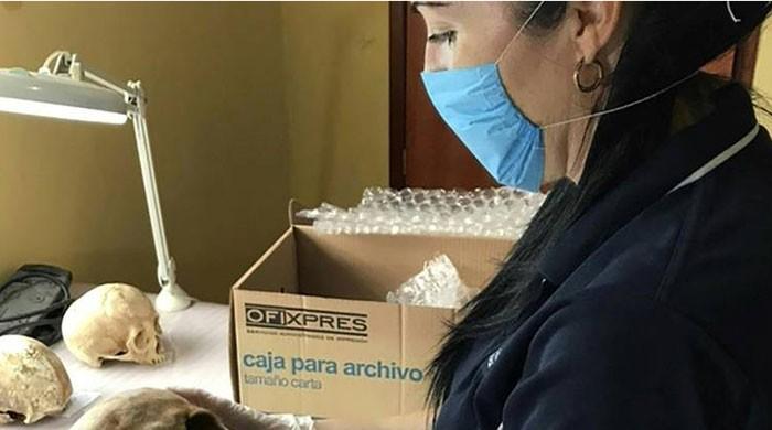 Scientists find corpses move in skin-crawling discovery