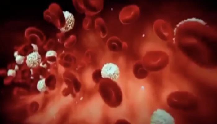 Take an in-depth look at how blood platelets function in a human body ...