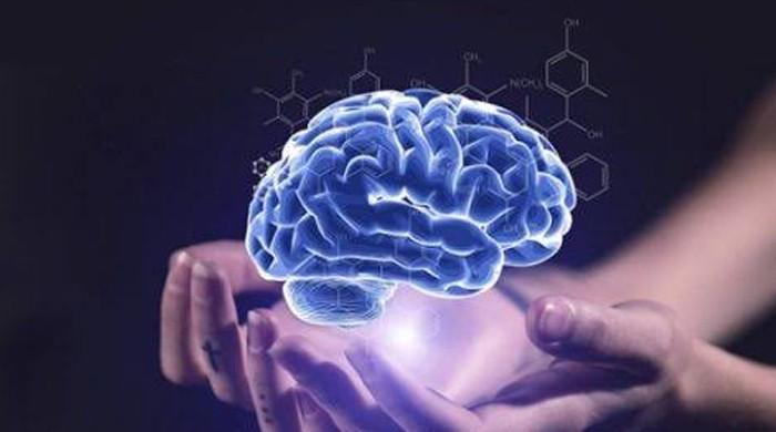 Indians have smallest brains in the world: research