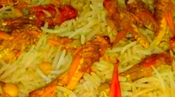 Eat tiddi briyani and karhai, minister advises Karachiites