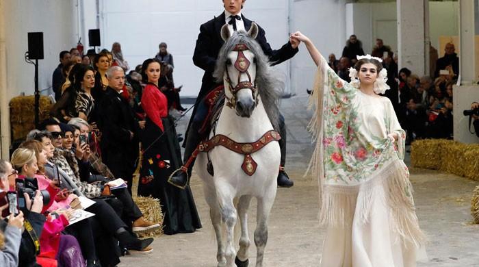 Mexican diva Maria Felix hailed at Paris fashion