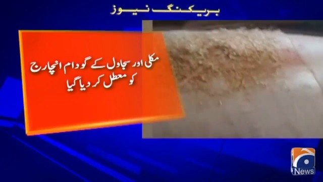 THATTA: 10 thousand sacks of wheat empty in two govt food warehouses