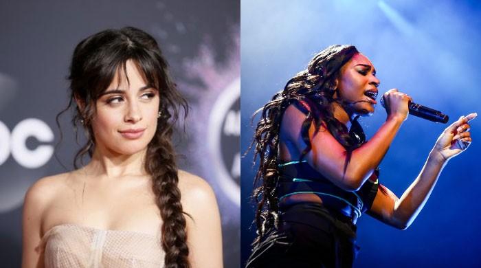 Normani opens up on Camila Cabello's racist remarks on Tumblr