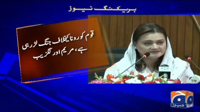 PM Imran has confessed of using Tiger Force as a political tactic: PML ...
