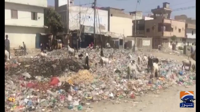 Karachi once again becoming a garbage dump | TV Shows - geo.tv