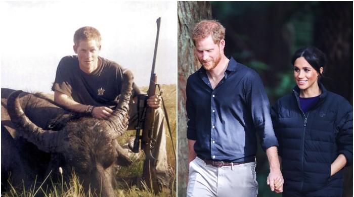 Prince Harry quits hunting and sells rifles out of respect for Meghan ...