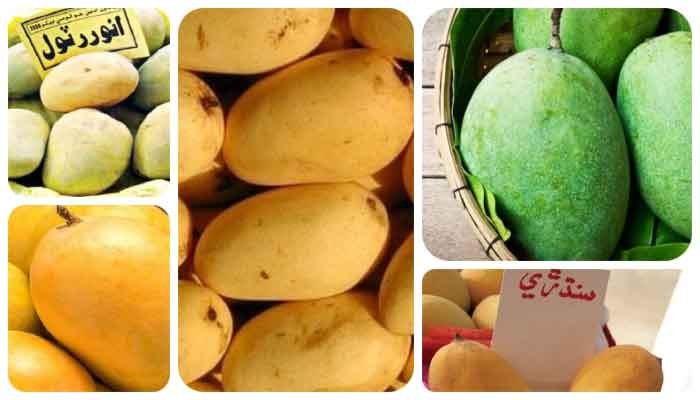 All hail the king: Mangoes are in full season; Here's how to know which ...