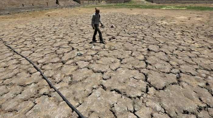 Scientists fear climate change may bring back dormant viruses