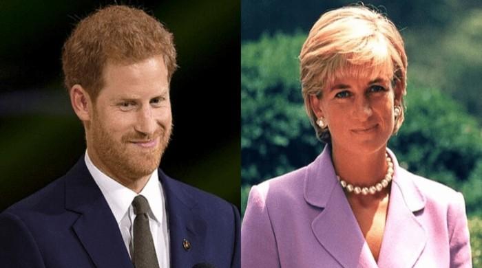 Prince Harry used to loathe Palace courtiers much like Princess Diana