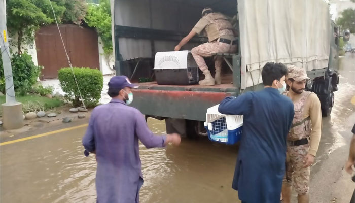 In pictures: Army lends a helping hand to citizens in flood-hit Karachi