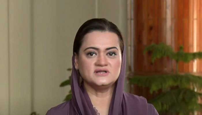 PML-N accuses govt of pressurising former DG FIA Bashir Memon to probe ...