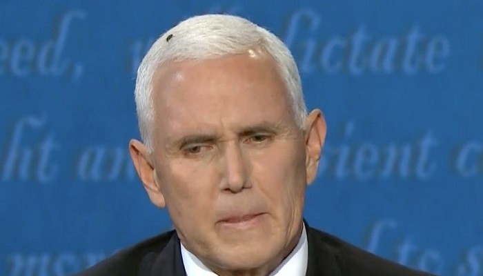WATCH: Gigantic fly on Mike Pence’s head steals the show during VP ...
