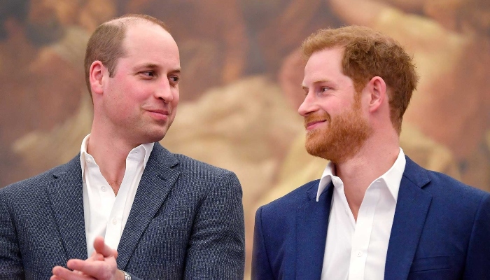 Prince Harry takes a brutal dig at Prince William after he launches ...