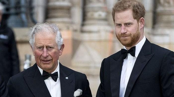 Prince Harry scorned Prince Charles as a child: report